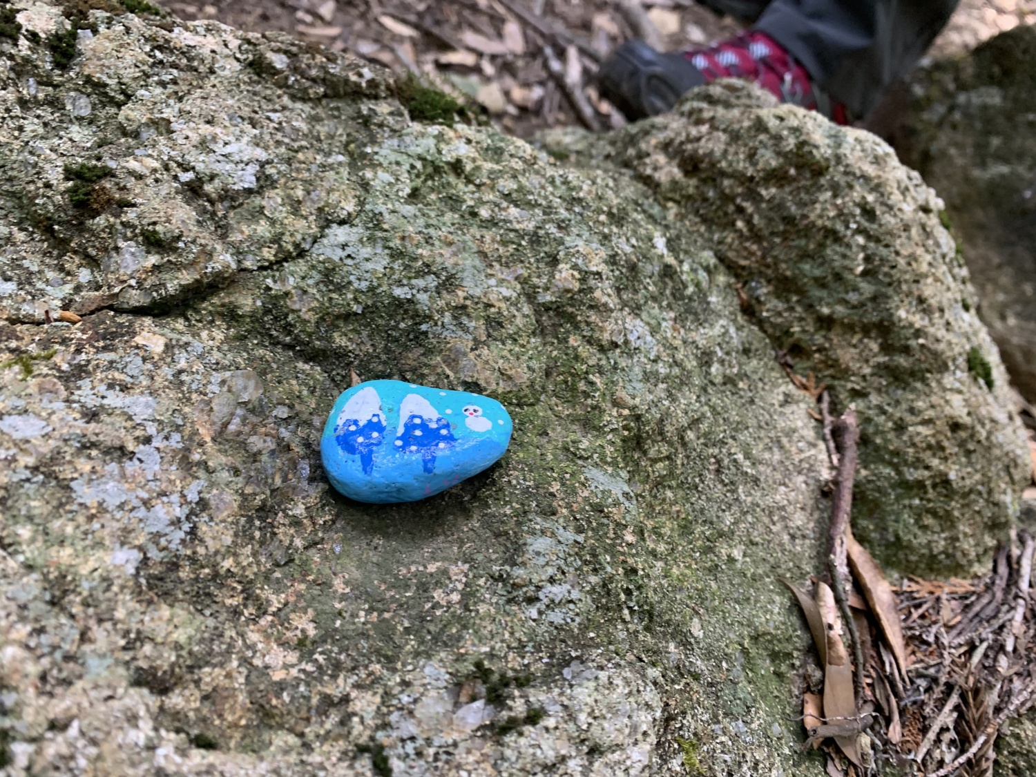 0009_xlarge | 名古屋山岳同志会